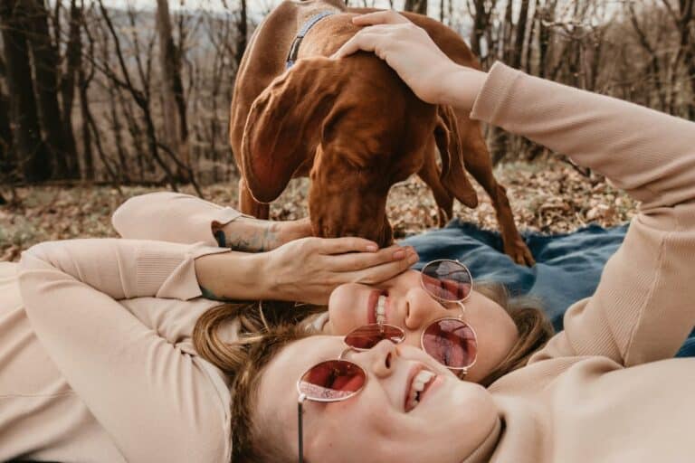 16 Intriguing Facts About Vizslas [A Must-Read For Every Vizsla Lover ...