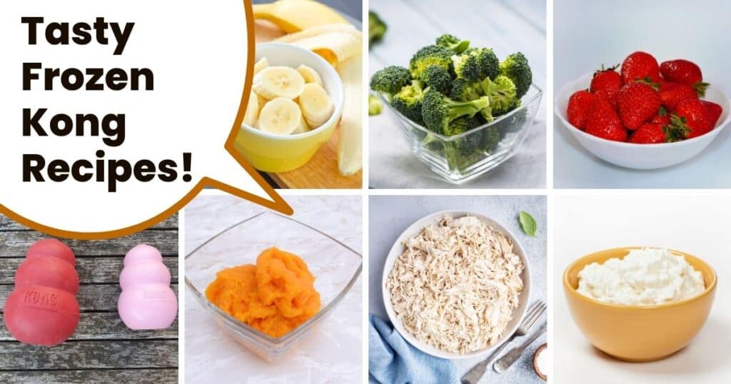 14 Pawsome Frozen Kong Recipes For Your Pup | It's A Vizsla