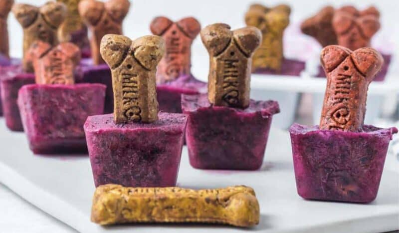 16 Frozen Dog Treats Recipes To Keep Your Pup Cool This Summer | It's A ...
