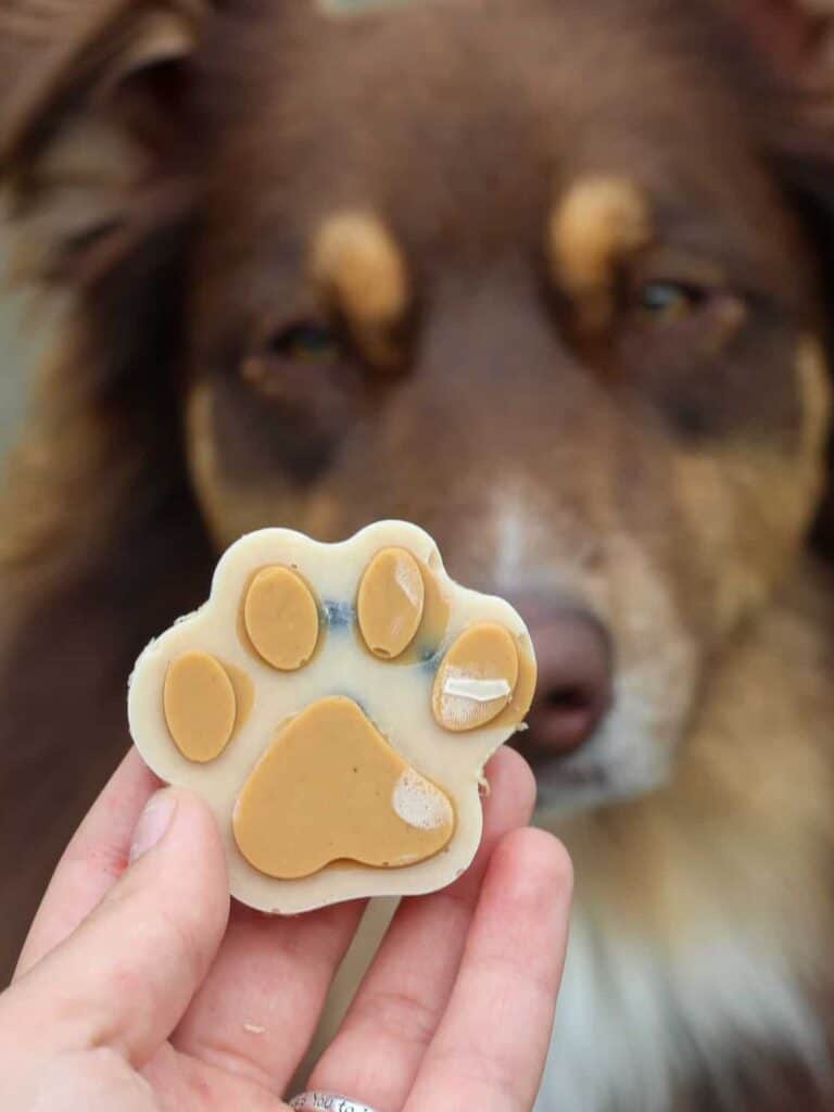 16 Frozen Dog Treats Recipes To Keep Your Pup Cool This Summer | It's A ...